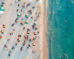 Insider Guide to The Best Beaches on The Treasure Coast - The Scout Guide