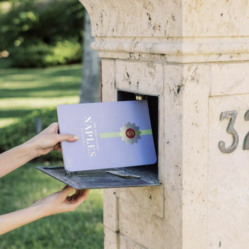 Direct Mail Process | Volume 5 - The Scout Guide