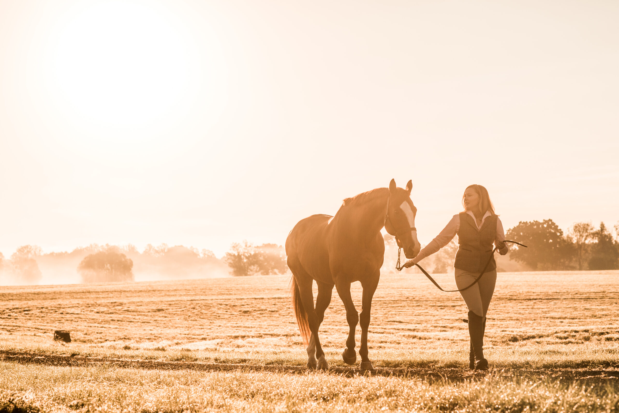 Welcome to Hunt Country, Virginia - The Scout Guide