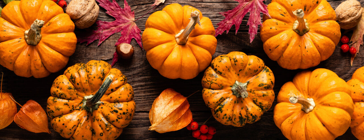 Best Pumpkin Patches Near Plano, Frisco & McKinney 2025