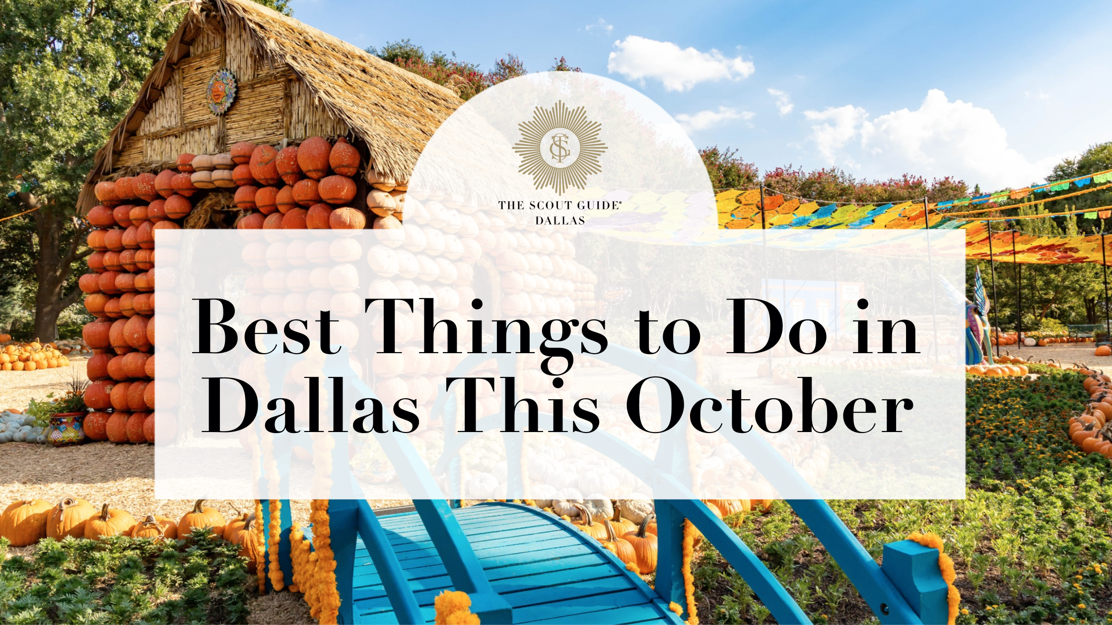 Best Things to Do in Dallas This October - The Scout Guide