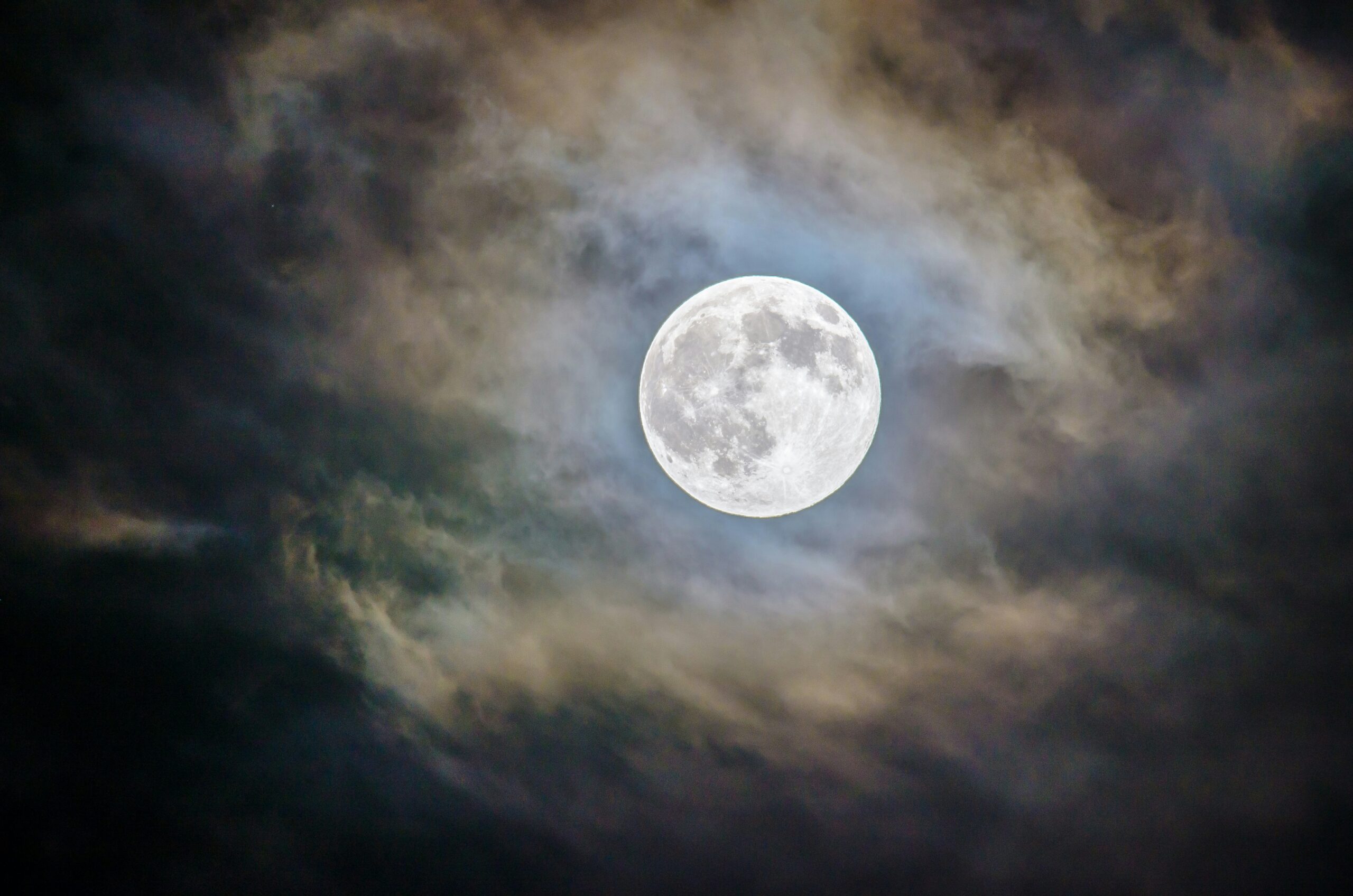 Full Moon Hike at Pendry Park City - The Scout Guide