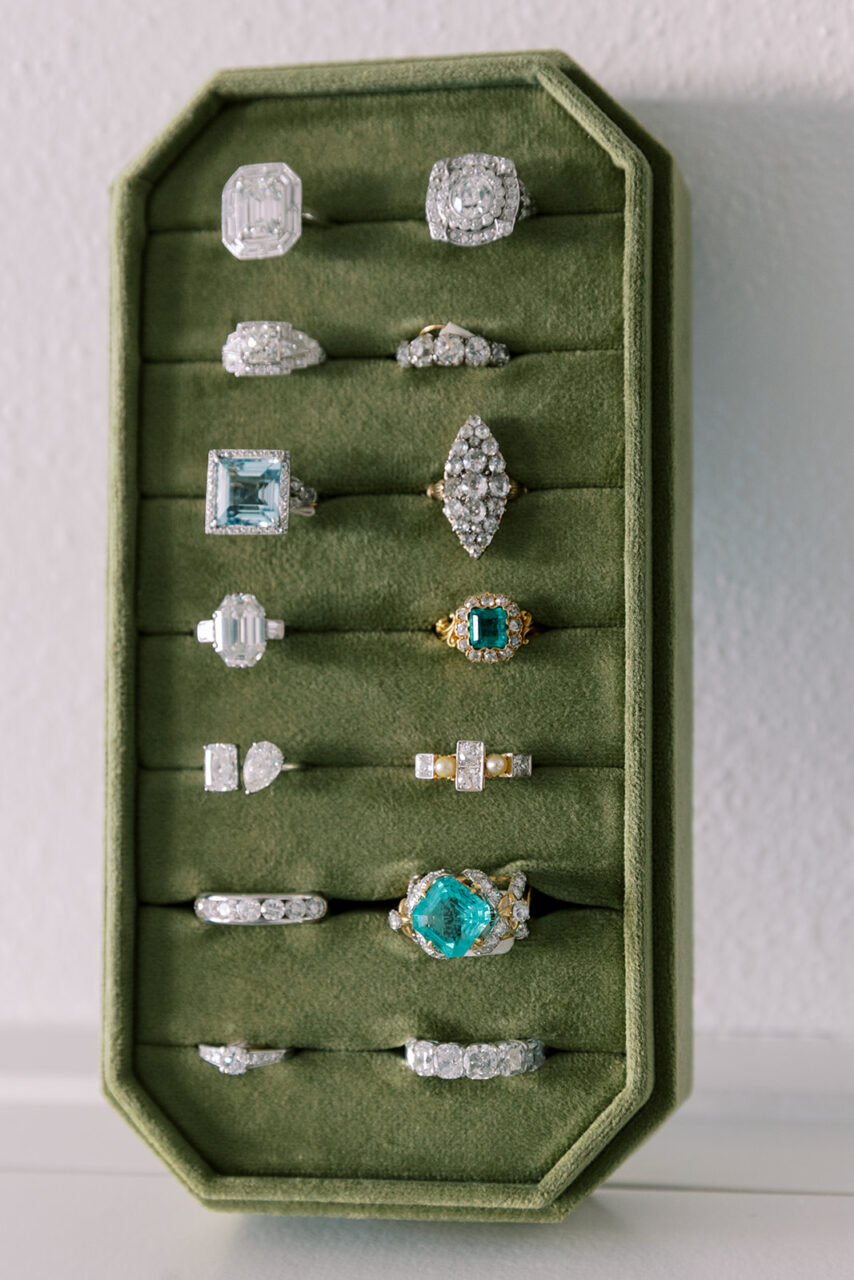 Robin Hancock: A Journey Through Timeless Beauty - The Scout Guide