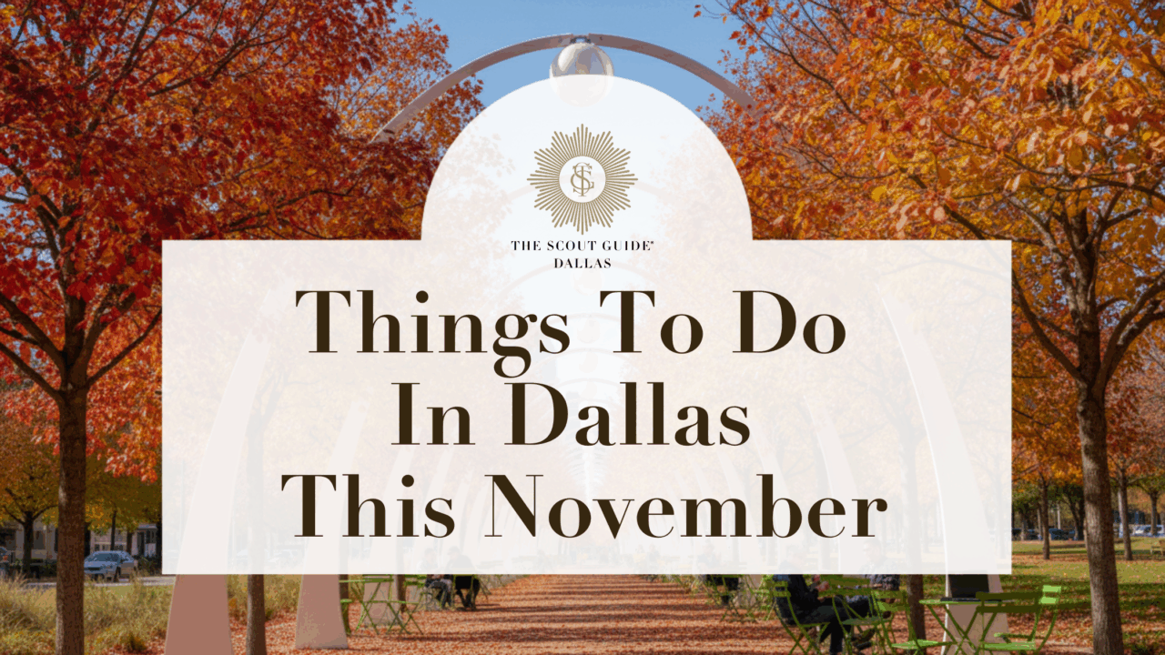The Best Things To Do In Dallas This November - The Scout Guide