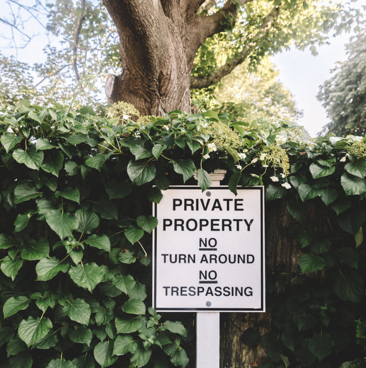 Palm Beach Gift Guide: For Him - The Scout Guide