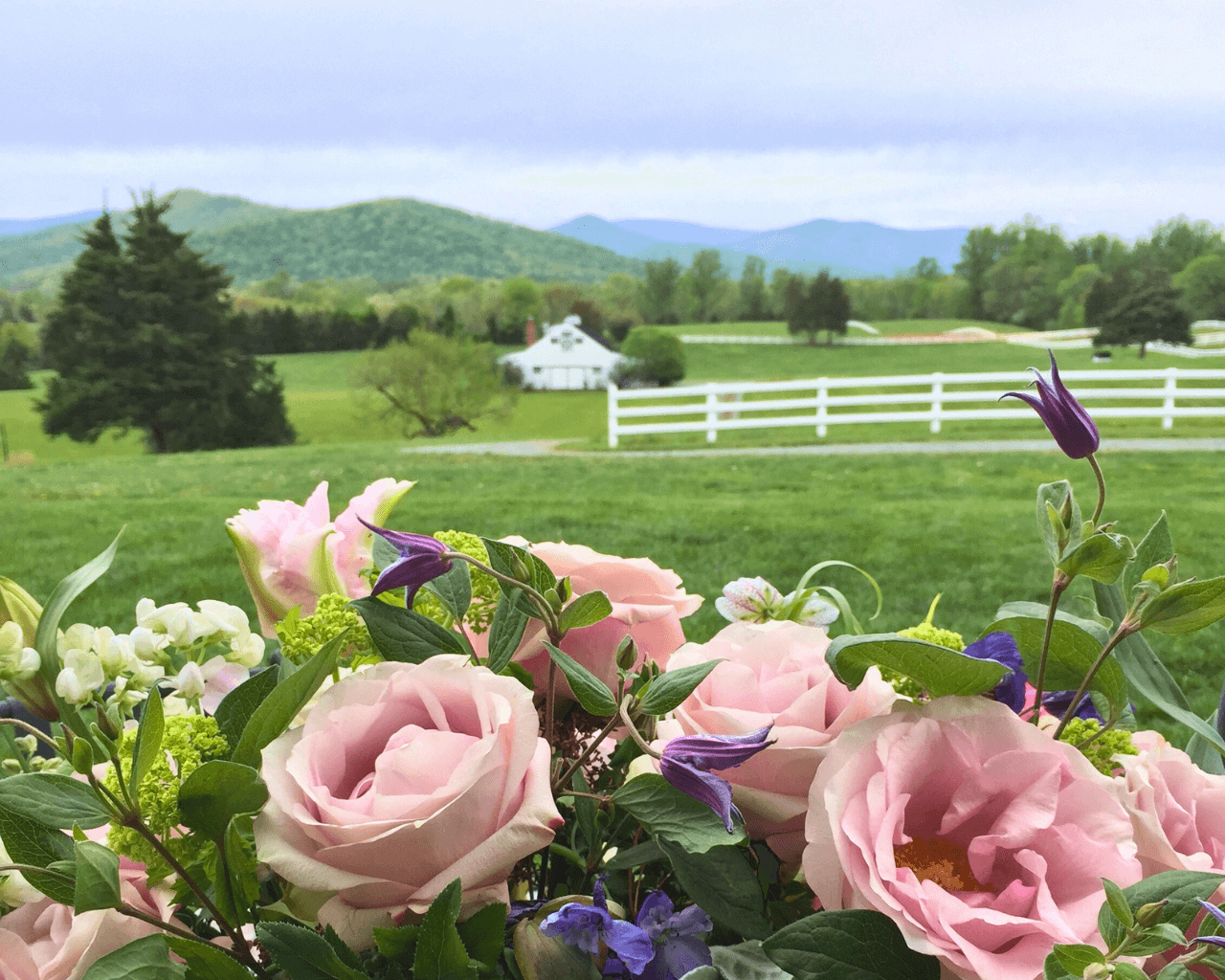 A Flower Lover’s Dream: Plan a Historic Garden Week Getaway - The Scout ...