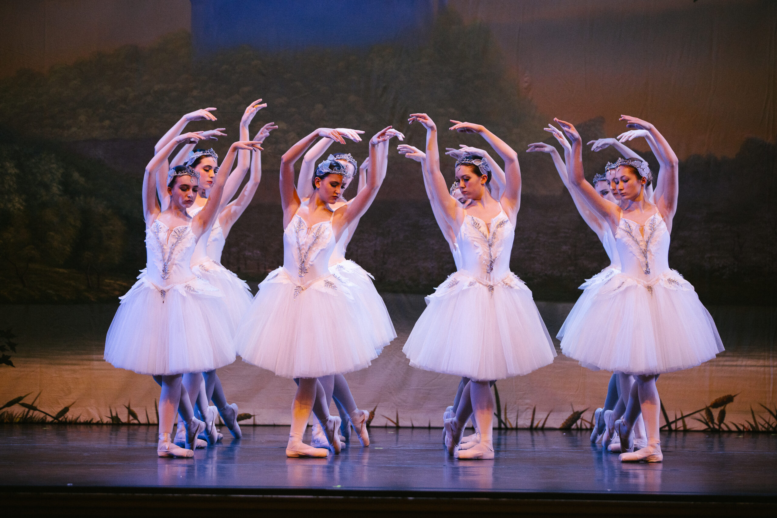 Meet the Member: Montana Ballet Company - The Scout Guide