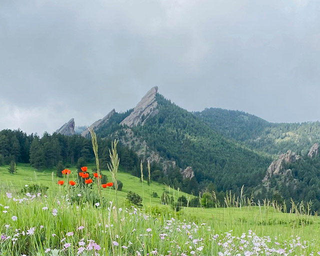 2026 Valentine’s Day Gift Guide: The Boulder Edit - The Scout Guide