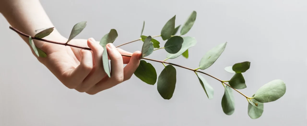 Start the New Year Off Right: Expert Wellness & Home Advice in Boulder ...