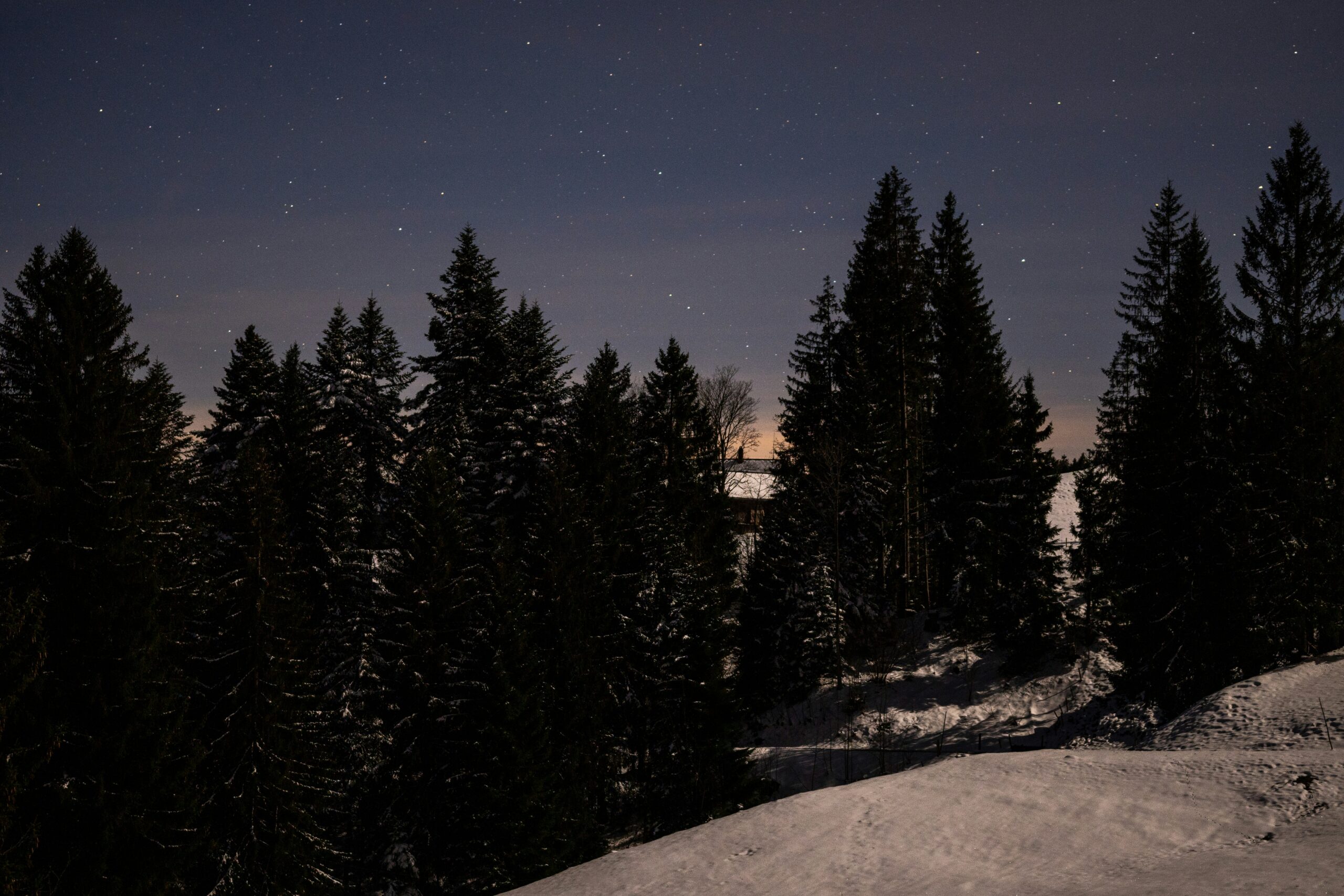 Moonlight Snowshoe Hike at Wasatch Mountain State Park - The Scout Guide