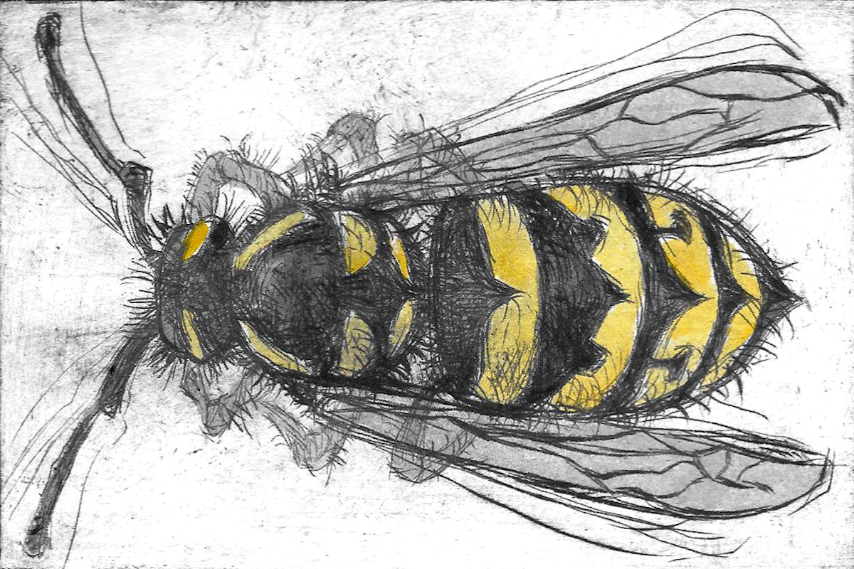 Drypoint Printmaking on Plexiglass with Tony Ortega - The Scout Guide