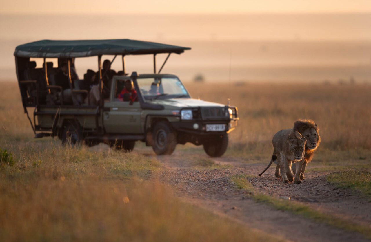 2026 Travel Trends: Where Families, Couples, and Multi-Generational ...