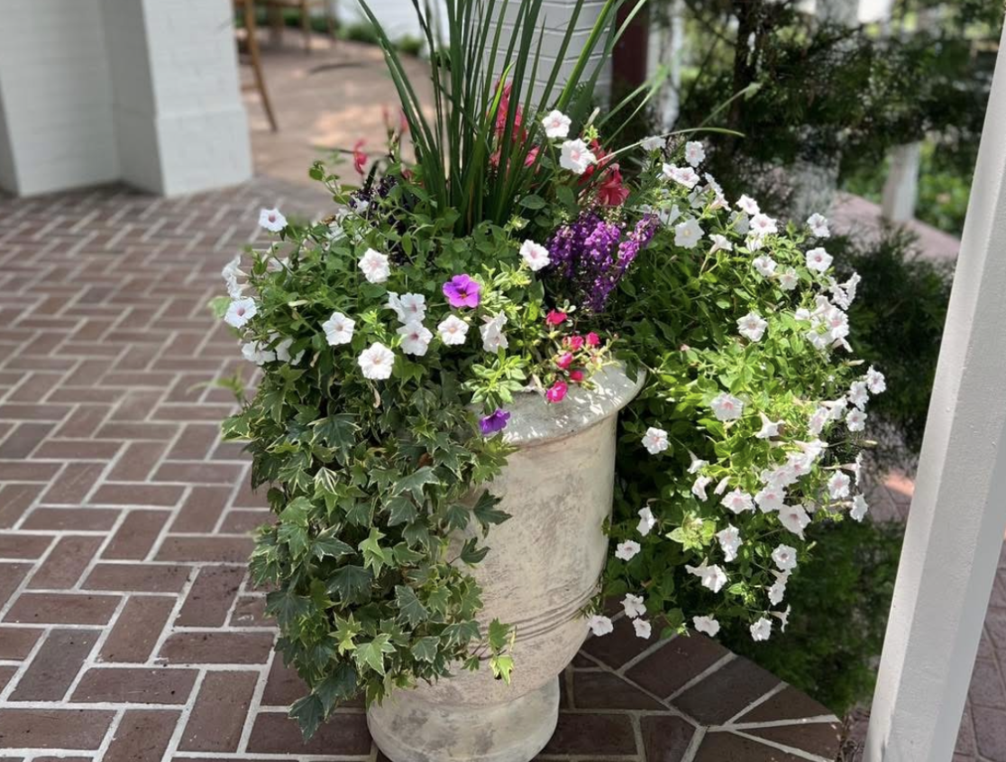 Spring Spring Thoughts with Jackpot Arranging - The Scout Guide