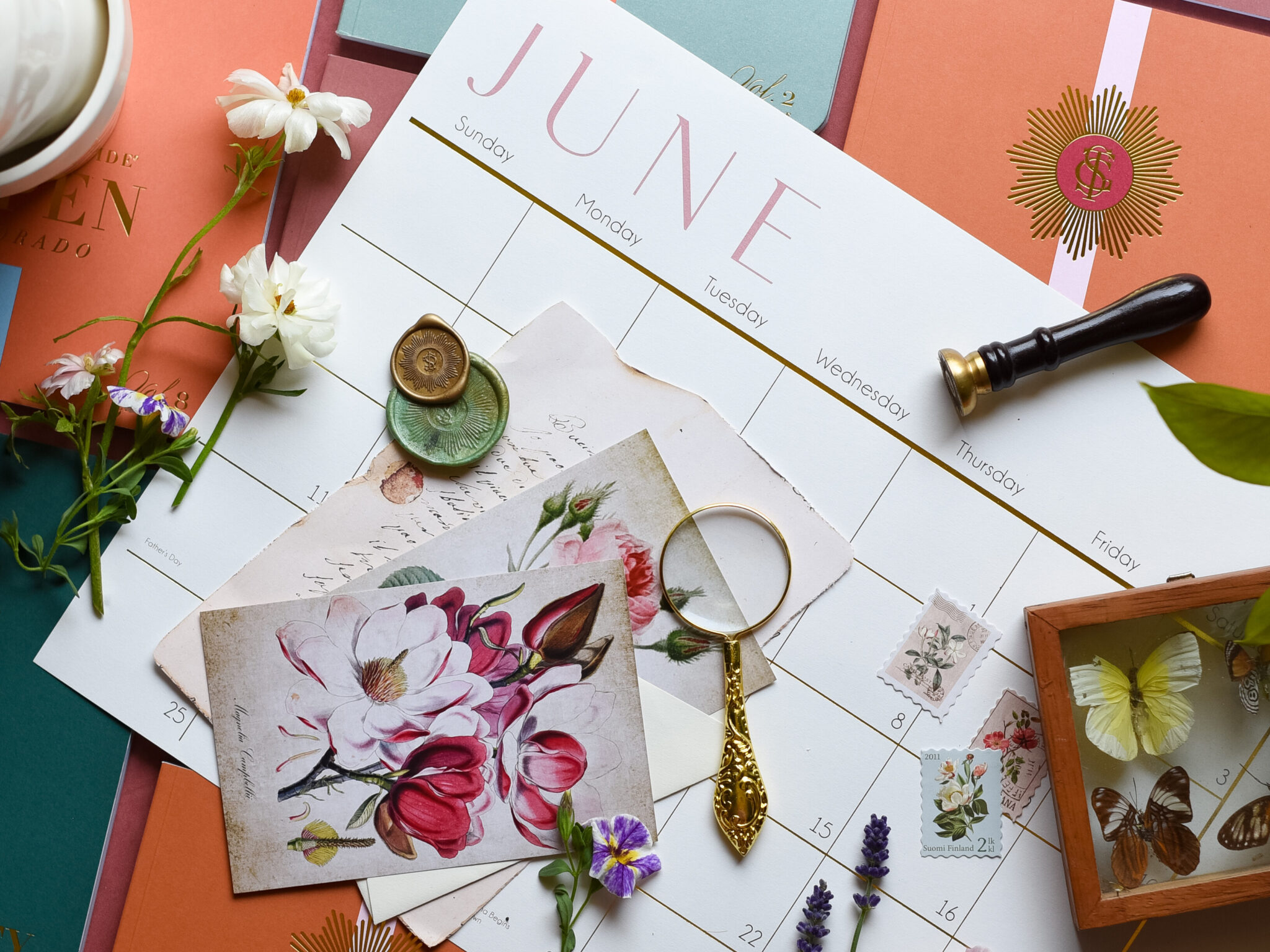 Things to do in Denver June 2026 | On Our Radar - The Scout Guide